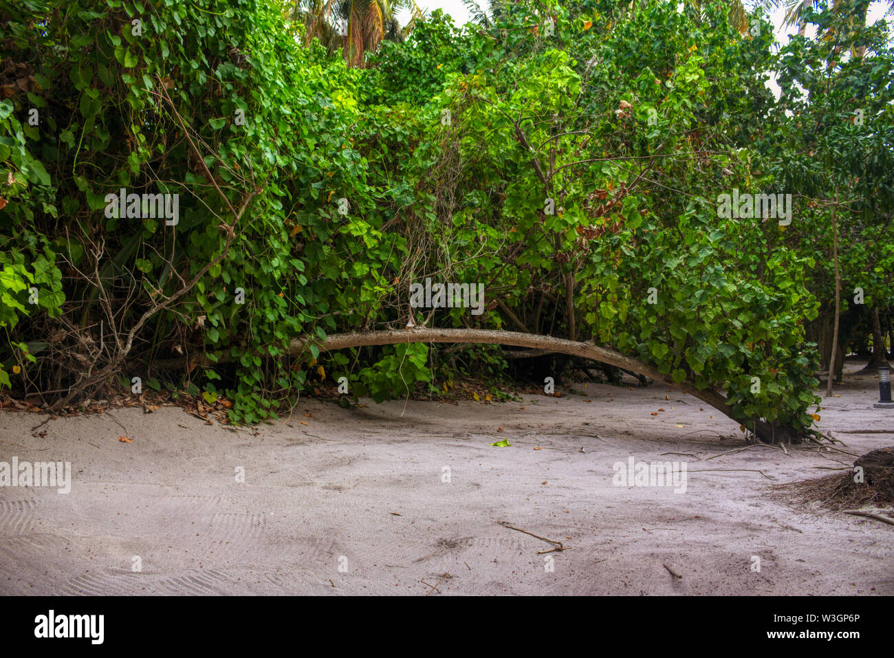 This unique photo shows the natural island texture with breathtaking ...