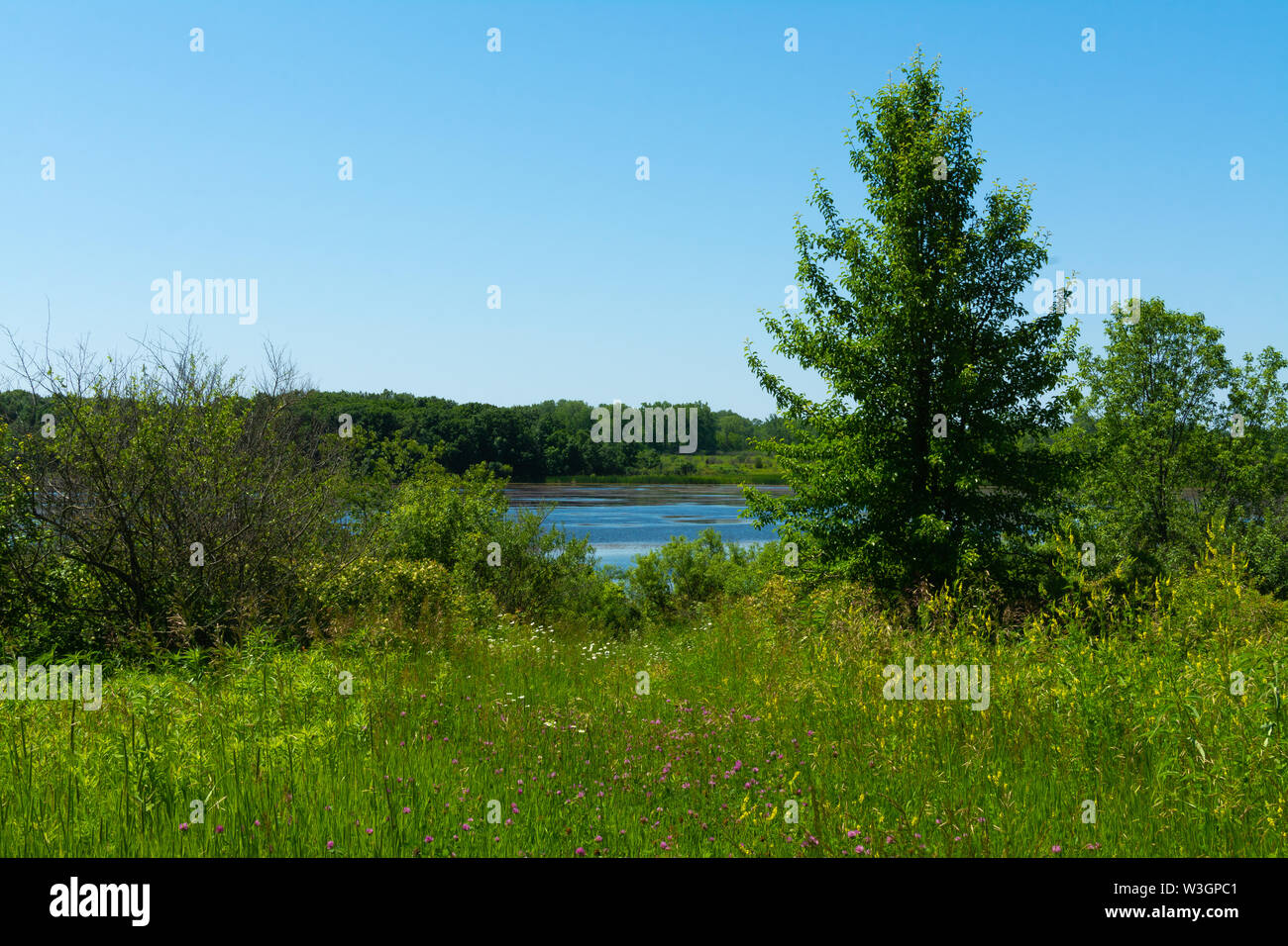Summer landscape in Richard Bong State Recreational Area. Kansasville ...