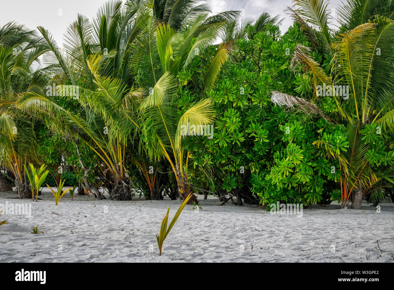 This unique photo shows the natural island texture with breathtaking ...