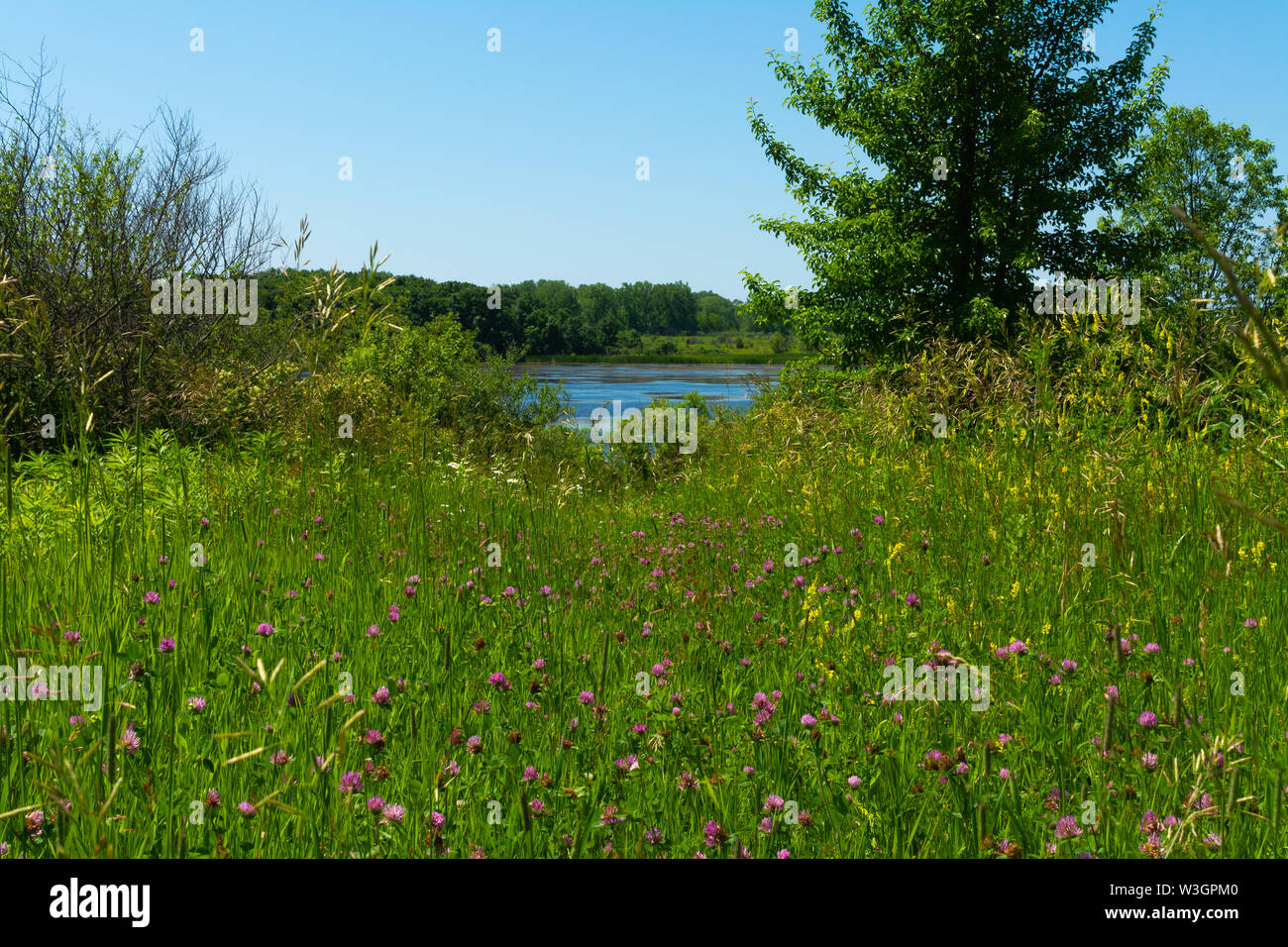 Summer landscape in Richard Bong State Recreational Area. Kansasville ...
