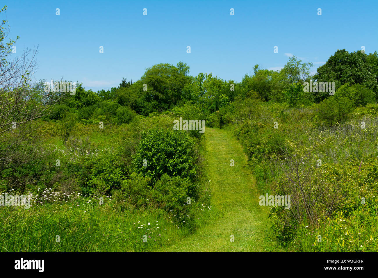 Richard bong recreation area hi-res stock photography and images - Alamy