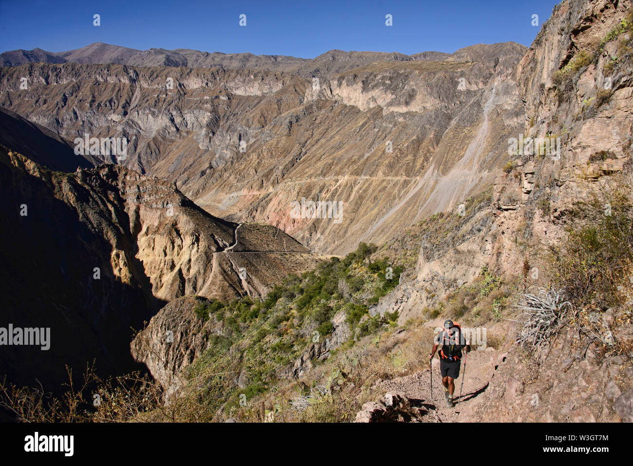 Trekking into the Colca Canyon, Cabanaconde, Peru Stock Photo - Alamy