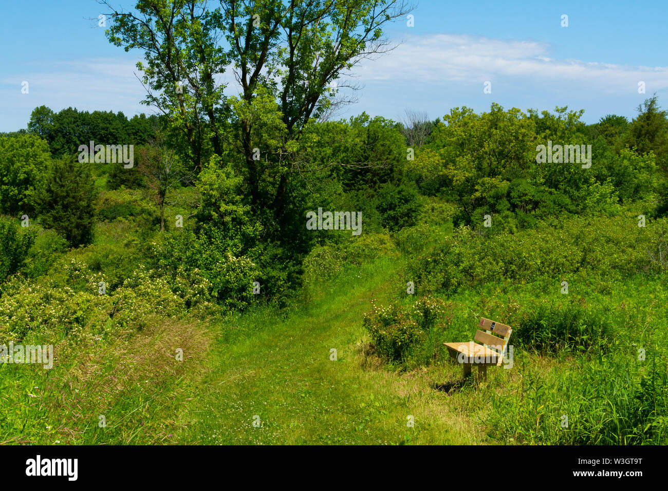 Summer landscape in Richard Bong State Recreational Area. Kansasville ...
