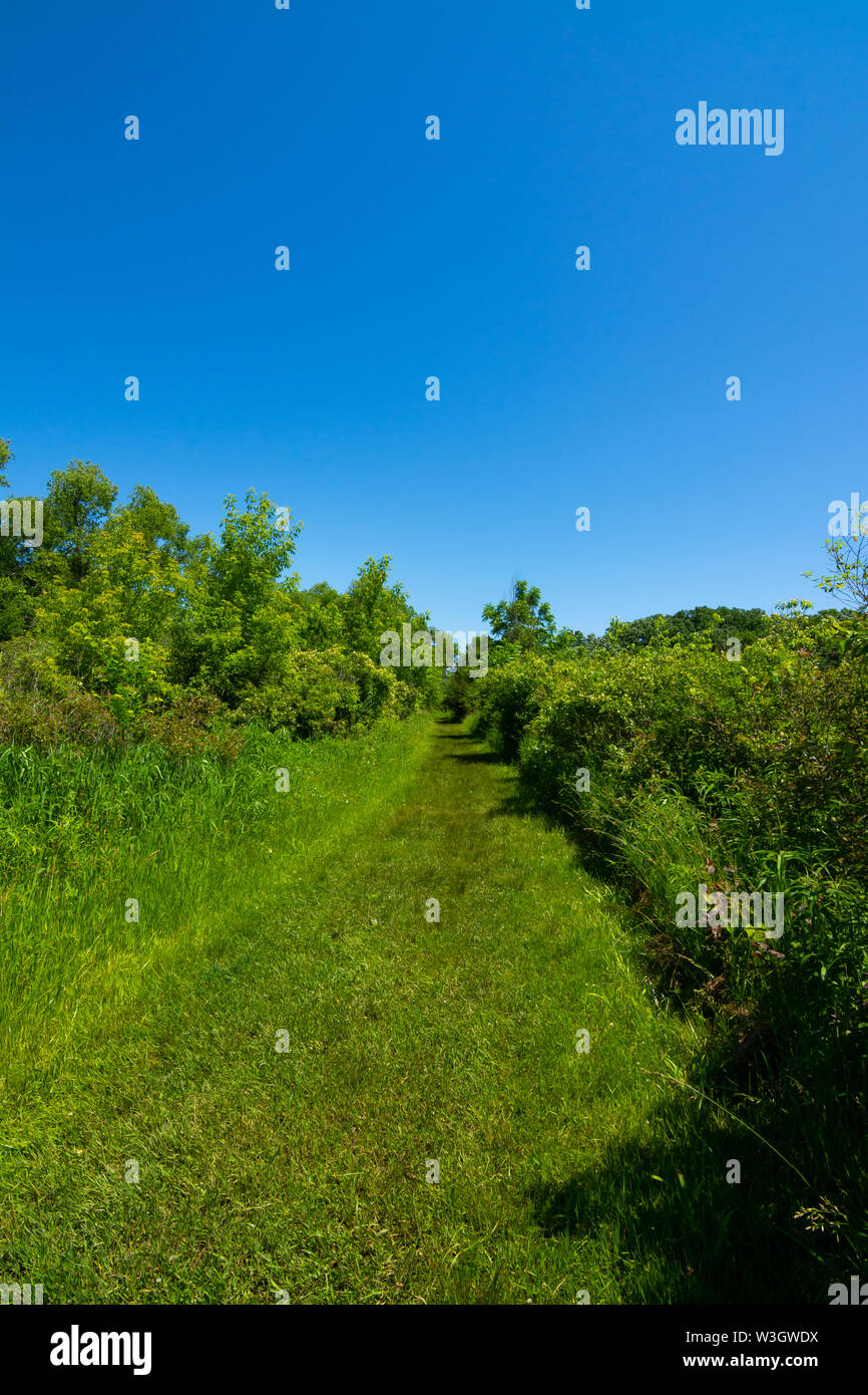 Richard bong state recreation area hi-res stock photography and images ...
