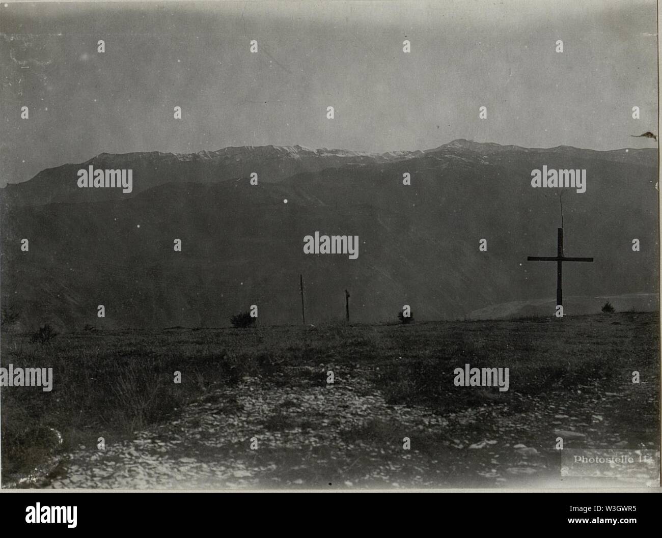 Maora hi-res stock photography and images - Alamy