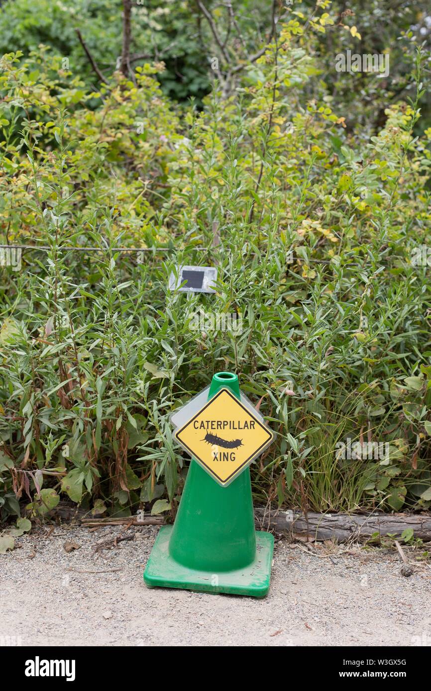 A sign for Caterpillar Crossing, at the San Francisco Botanical Garden ...