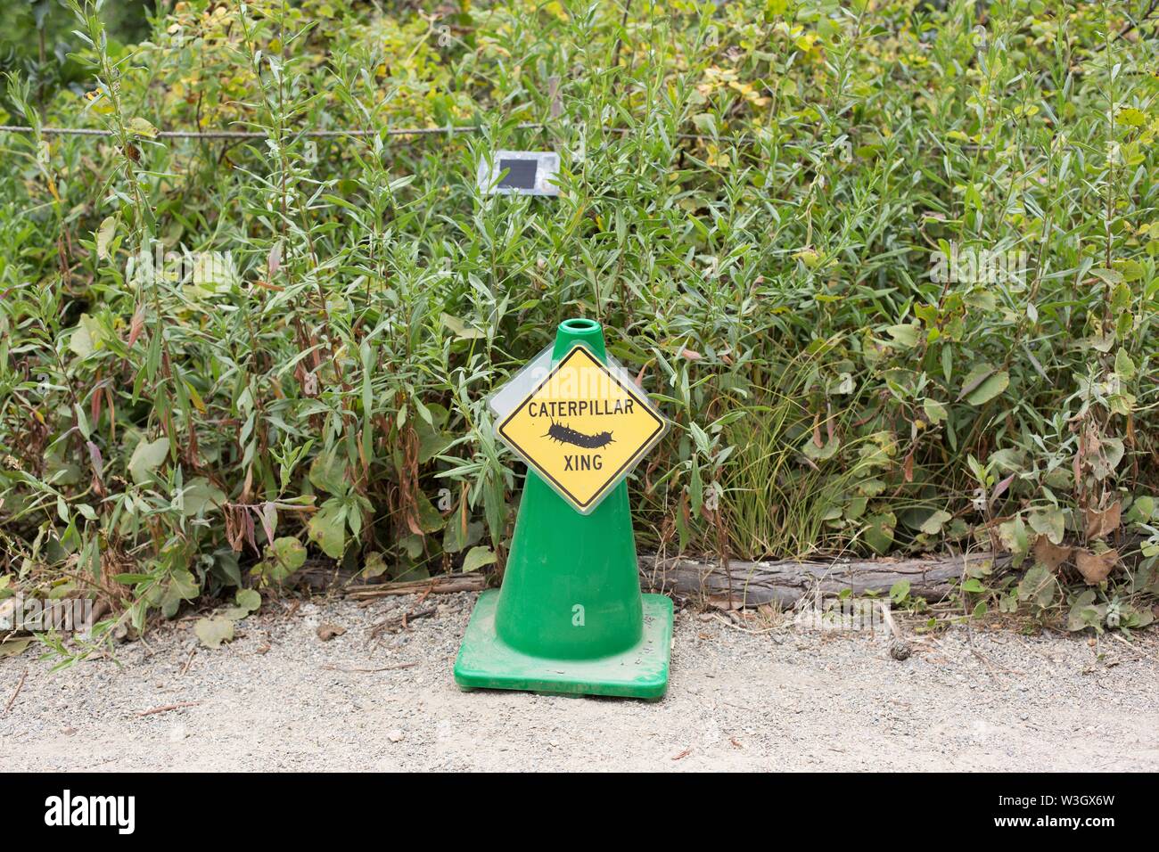A sign for Caterpillar Crossing, at the San Francisco Botanical Garden ...