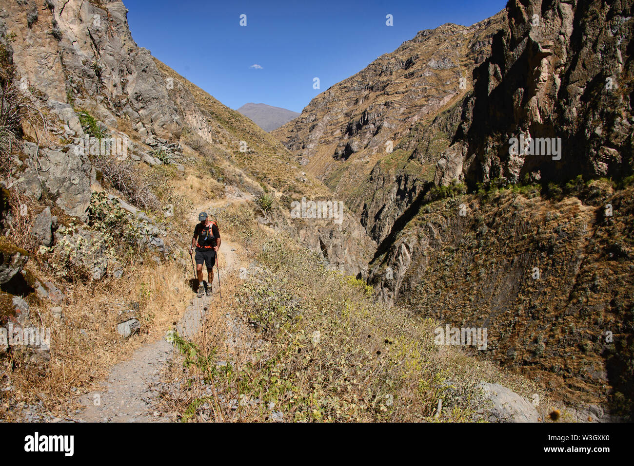 Trekking into the Colca Canyon, Cabanaconde, Peru Stock Photo - Alamy