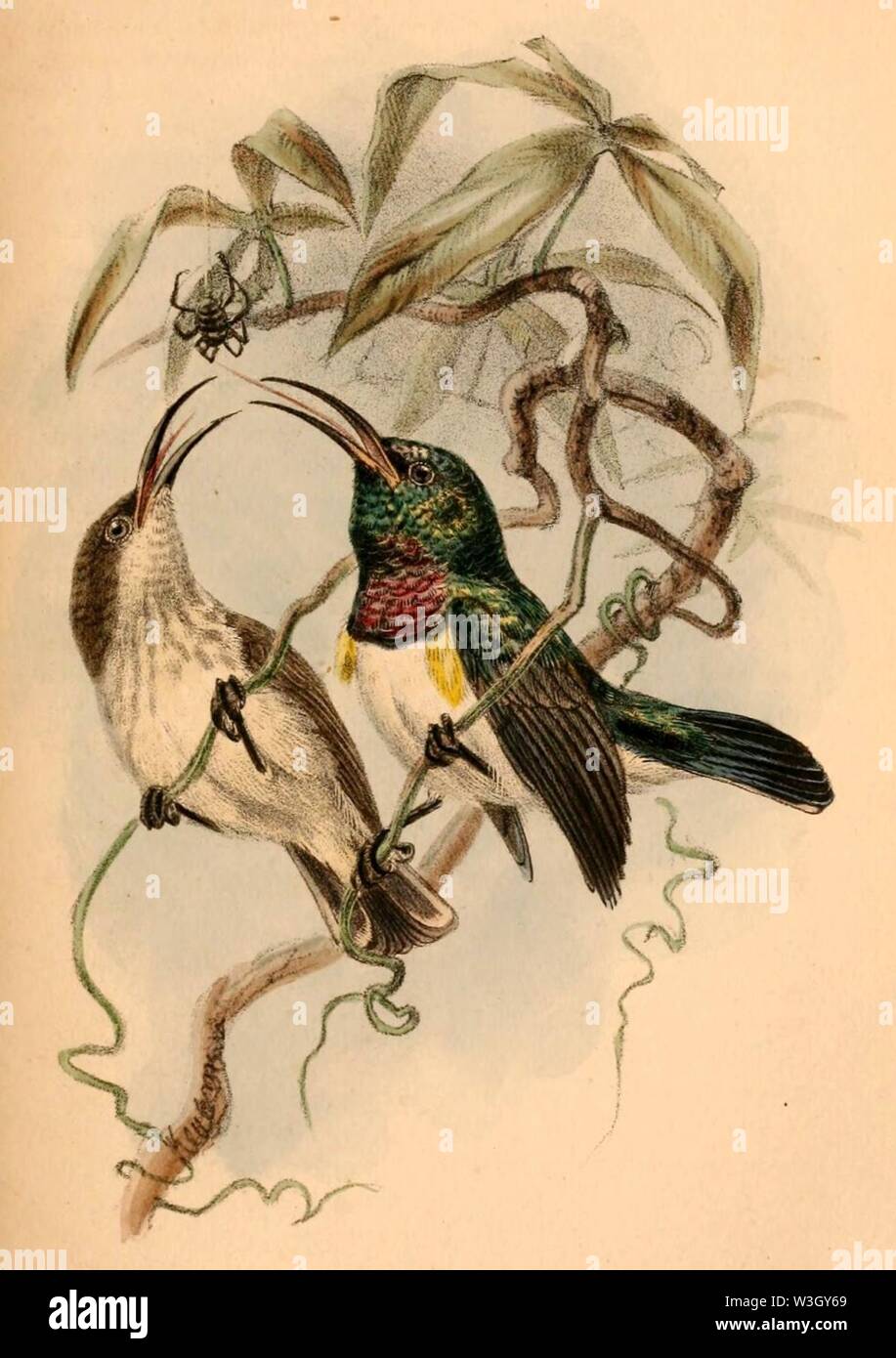 Talatala hi-res stock photography and images - Alamy