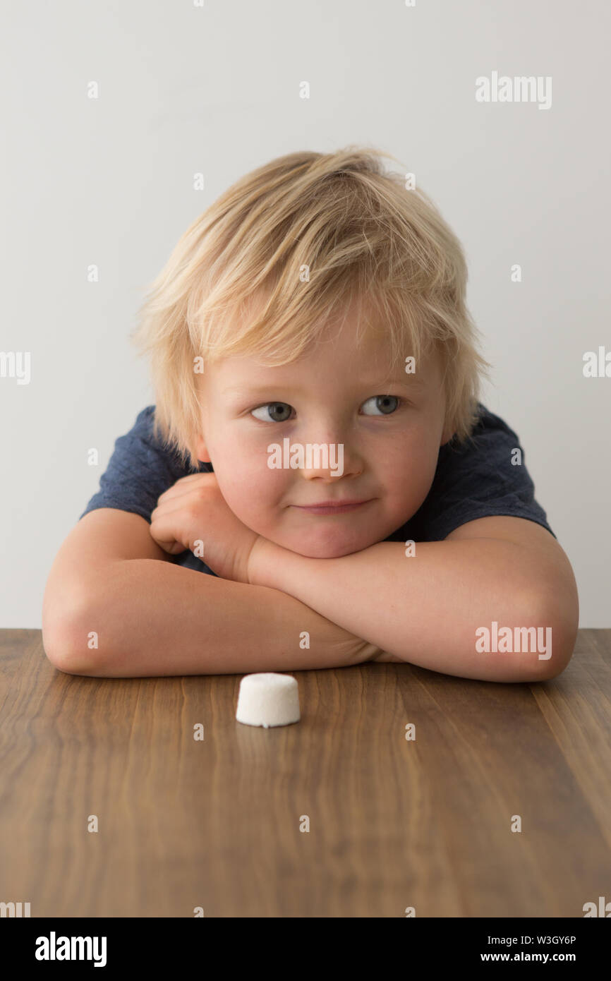 Stanford marshmallow experiment hi-res stock photography and images - Alamy