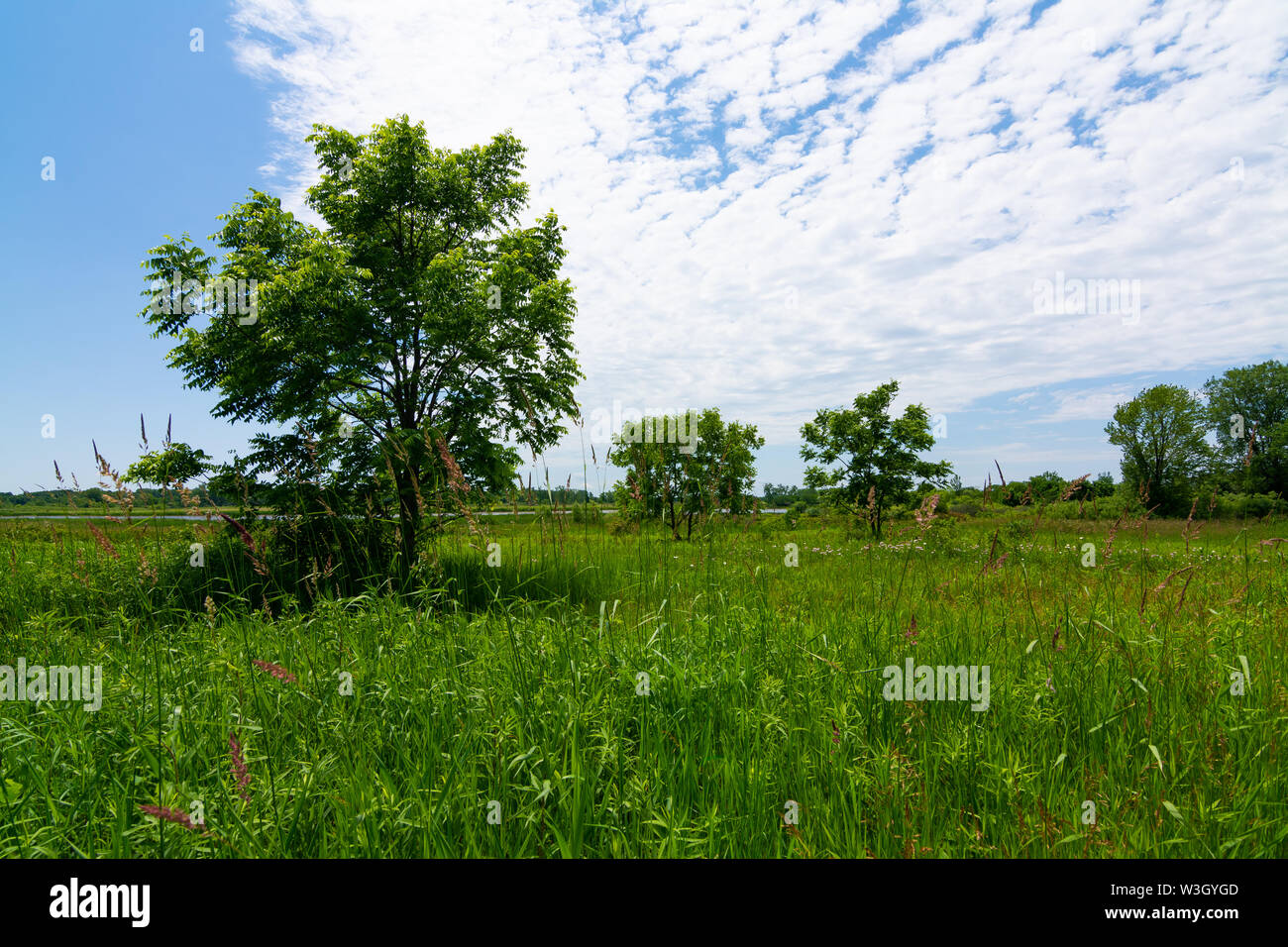 Bong recreation area hi-res stock photography and images - Alamy
