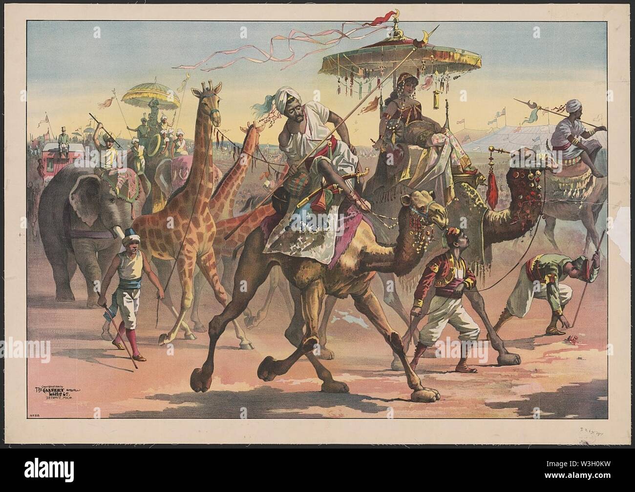 Circus giraffes hi-res stock photography and images - Alamy