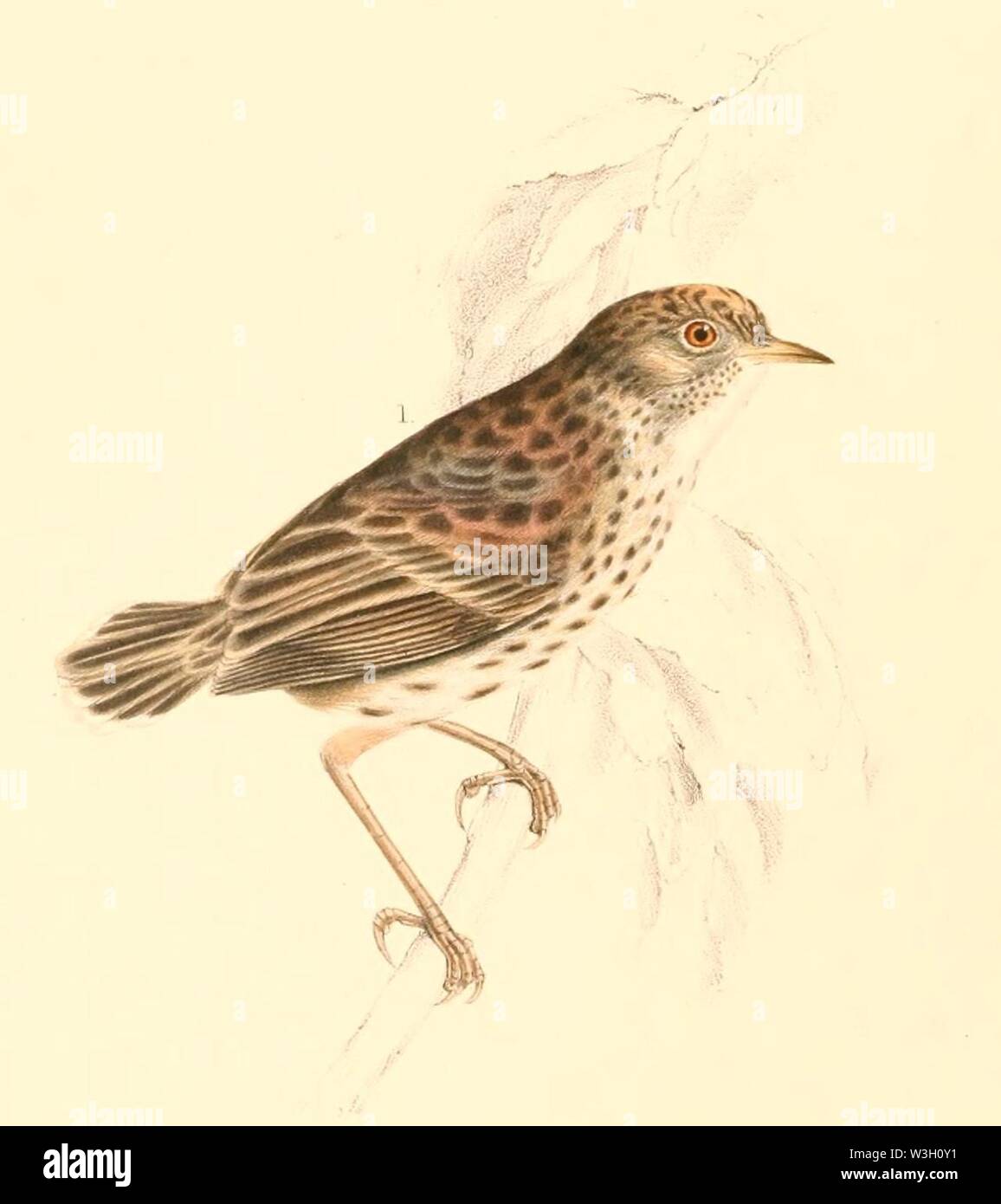 Textrix hi-res stock photography and images - Alamy