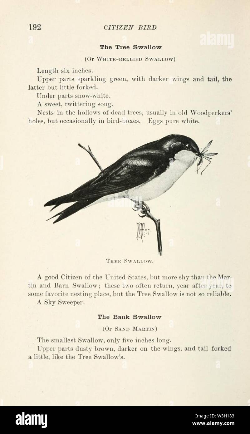 Citizen bird (Page 192 Stock Photo - Alamy