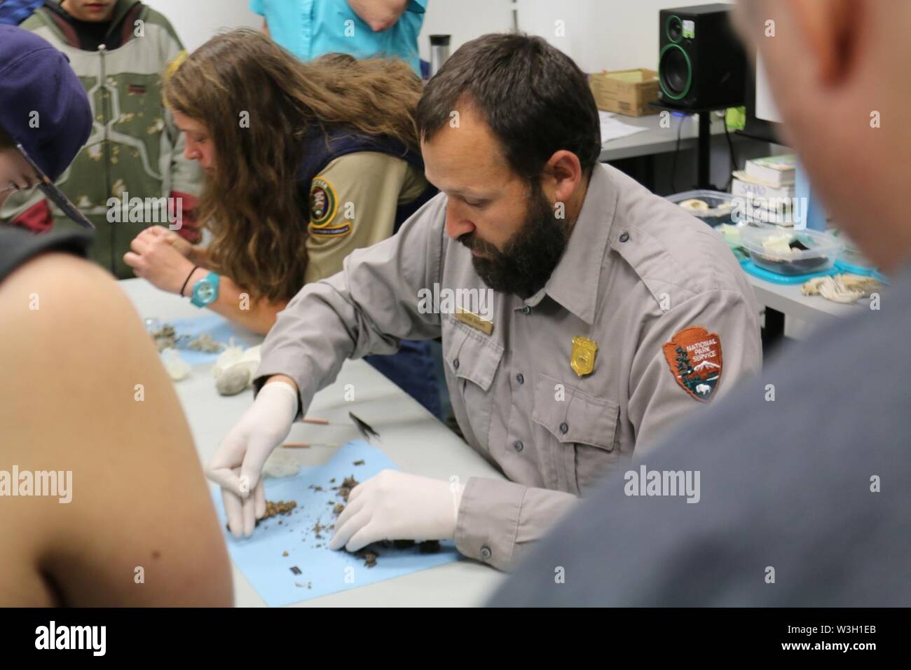 Citizen Scientists (34756852524 Stock Photo - Alamy