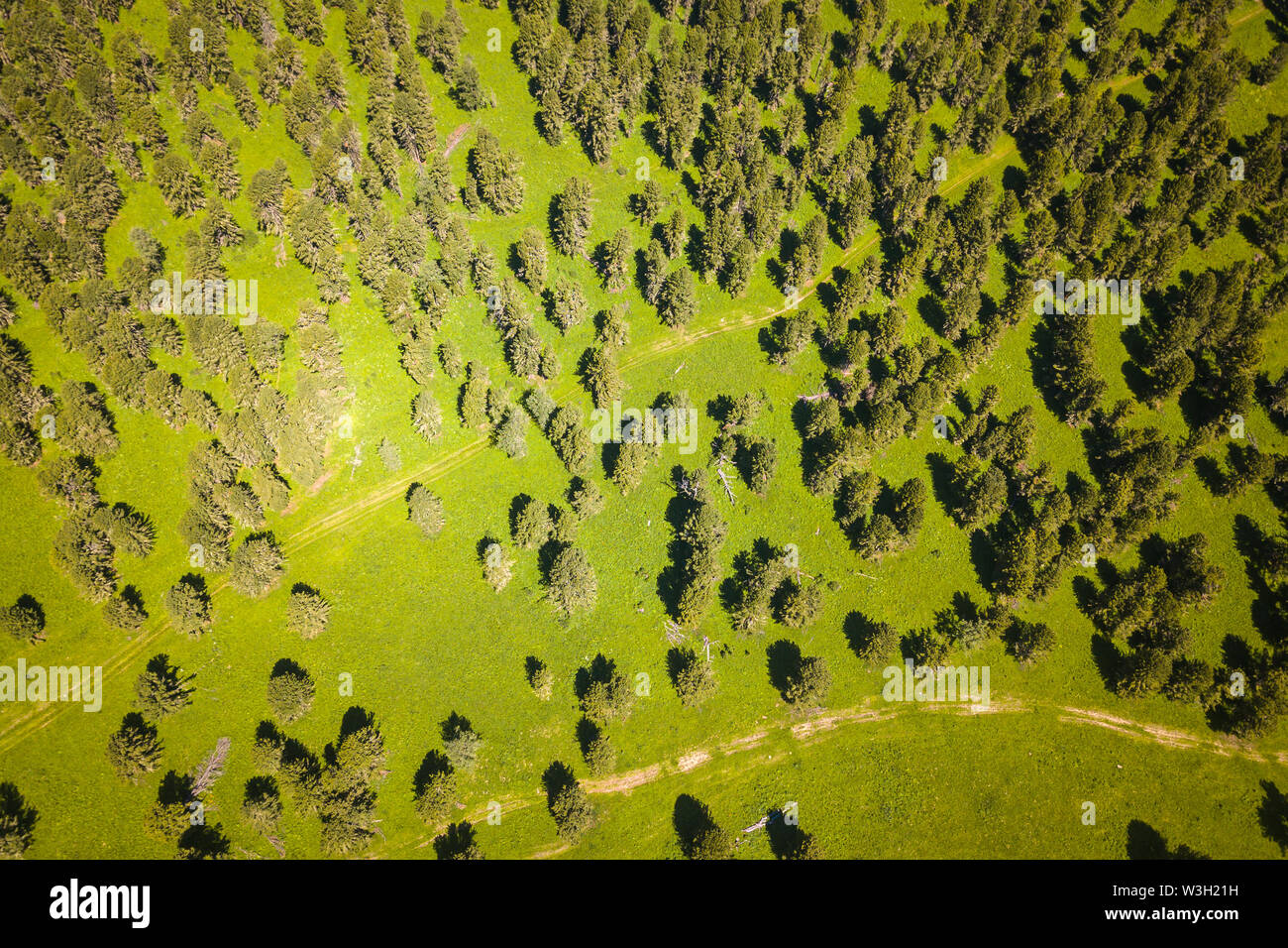 Helicopter drone shot. A view from above of a green forest and a large ...