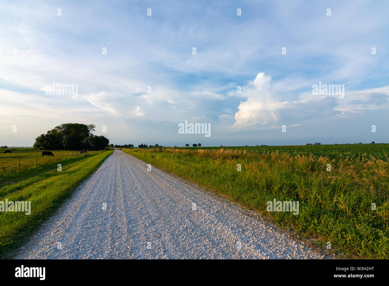 Gravel country road in the rural Midwest on a Summer afternoon. LaSalle ...