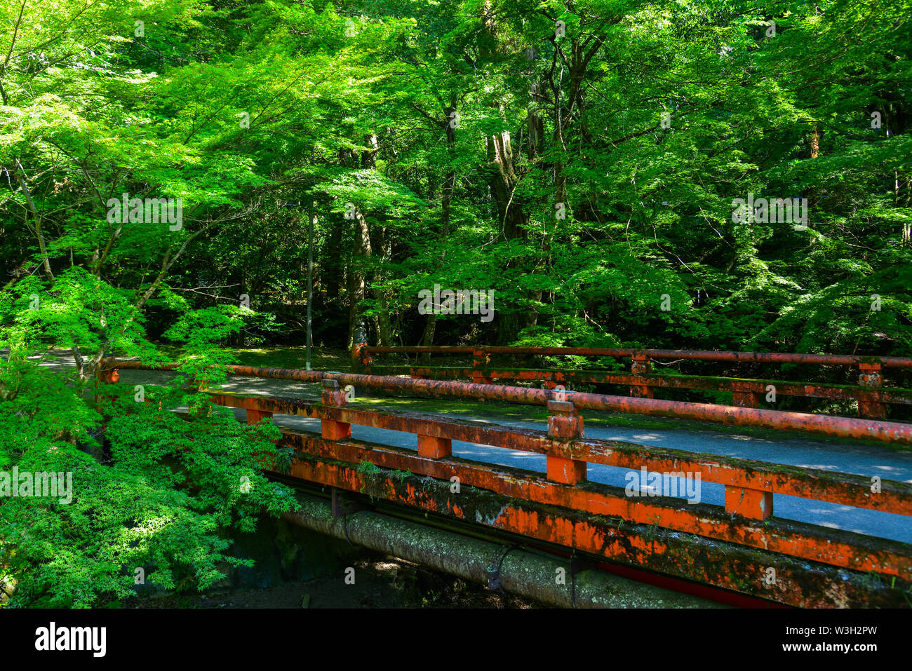 Idyllic landscape of Japanese garden at summer day Stock Photo - Alamy