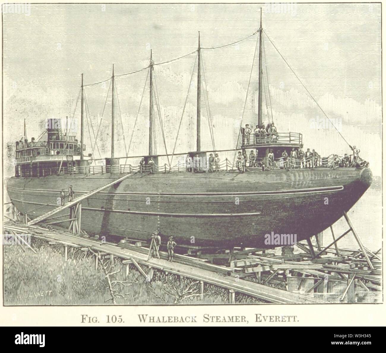 Whaleback hi-res stock photography and images - Alamy