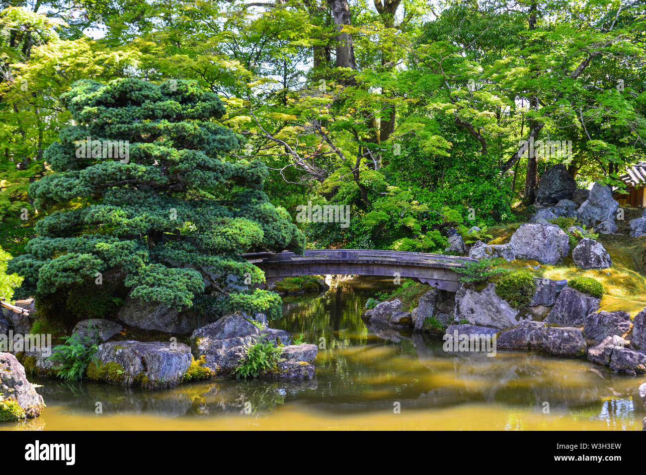 Idyllic landscape of Japanese garden at summer day Stock Photo - Alamy