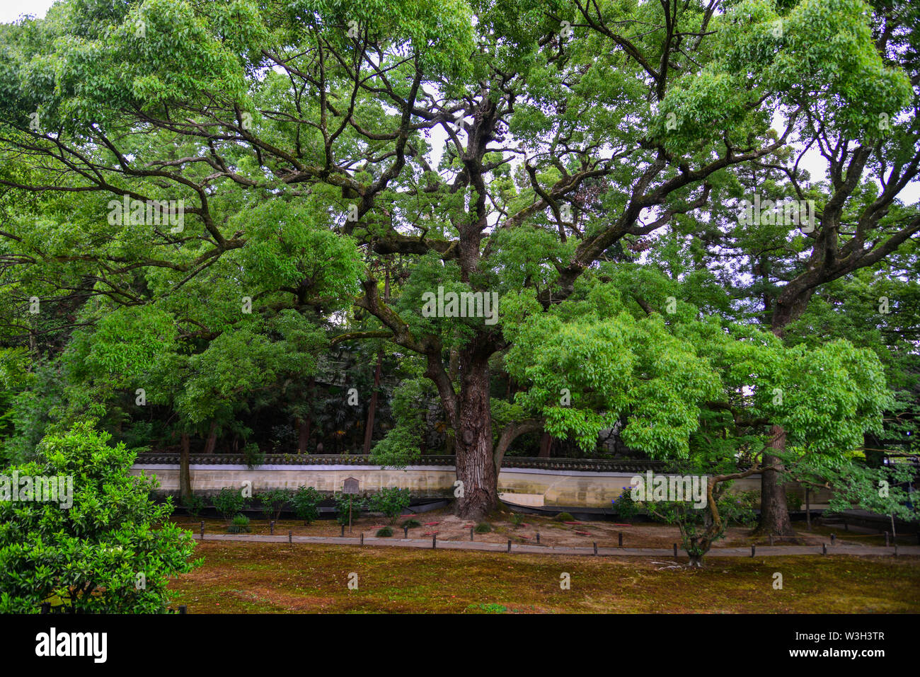 Idyllic landscape of Japanese garden at summer day Stock Photo - Alamy