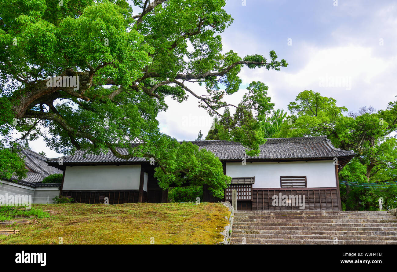 Ancient temple with huge trees at summer day in Kyoto, Japan Stock ...