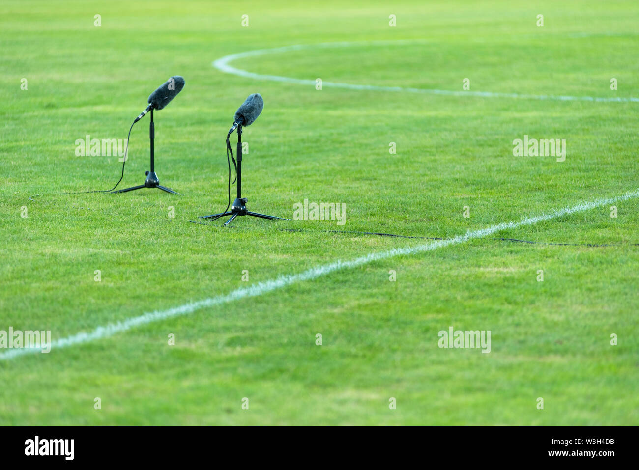 Professional furry microphone on green grass on a soccer field Stock ...