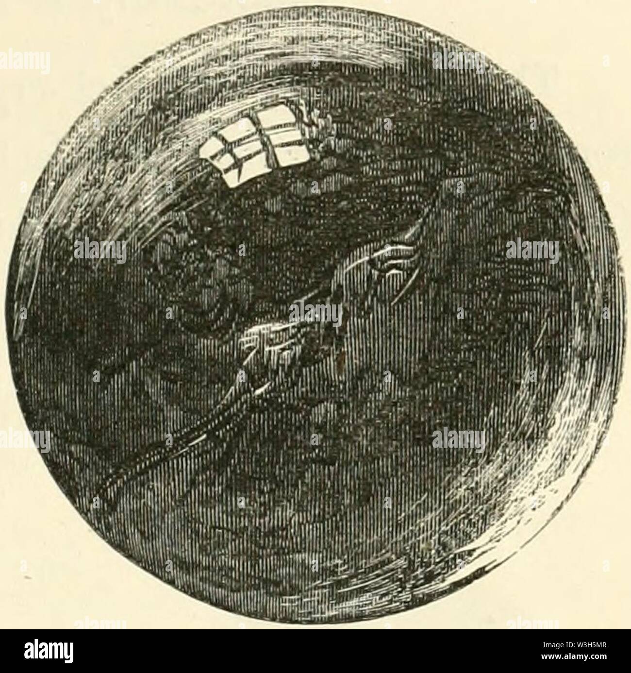 Clach na Bratach of the Robertsons of Struan (woodcut, sometime before ...