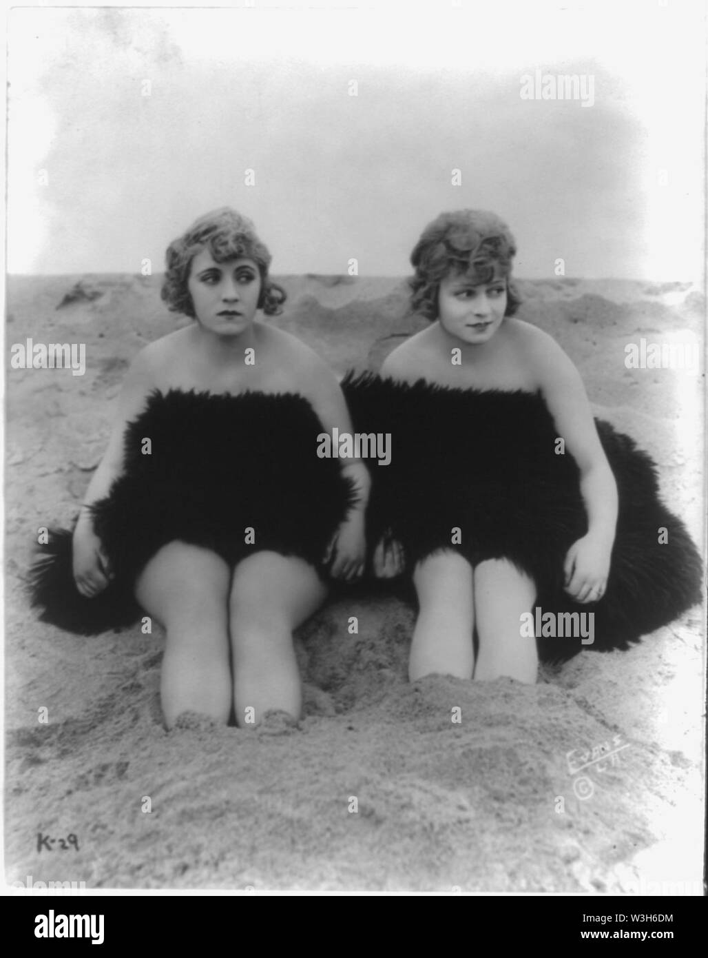 Rose anderson hi-res stock photography and images - Alamy