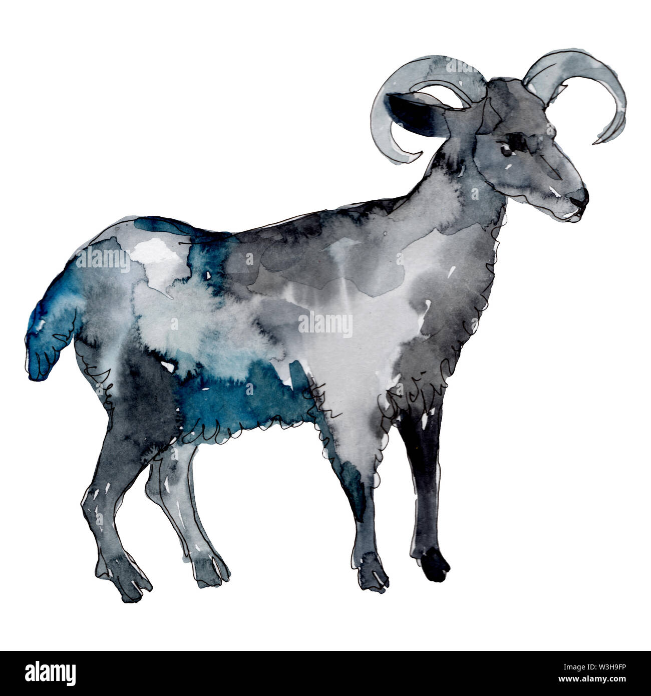 Ram farm animal isolated. Watercolor background illustration set ...