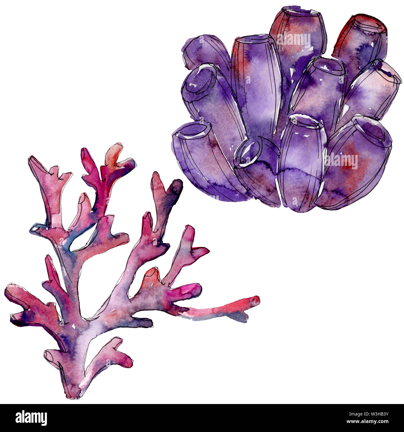 Colorful aquatic underwater nature coral reef. Watercolor background ...