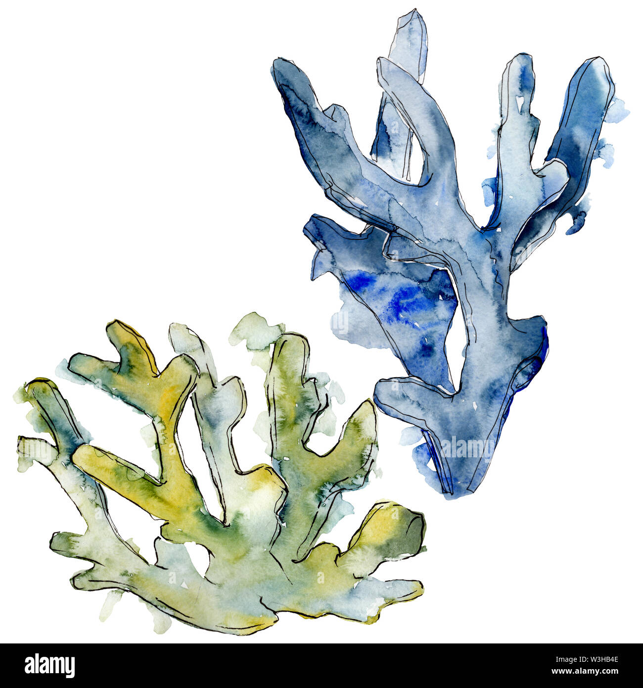 Colorful aquatic underwater nature coral reef. Watercolor background ...