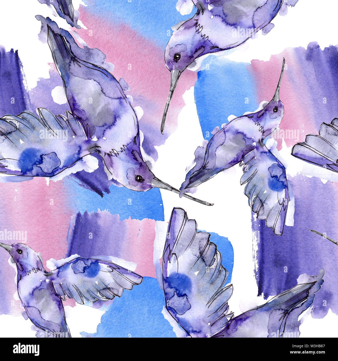 Sky bird colibri in a wildlife isolated. Watercolor background ...