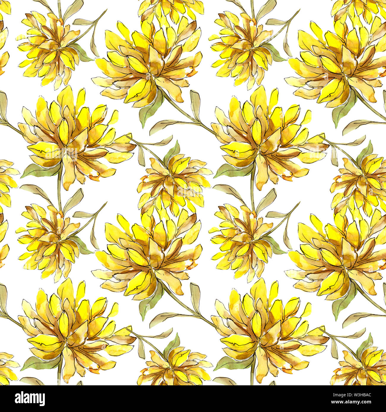 Aster floral botanical flowers. Watercolor background illustration set ...