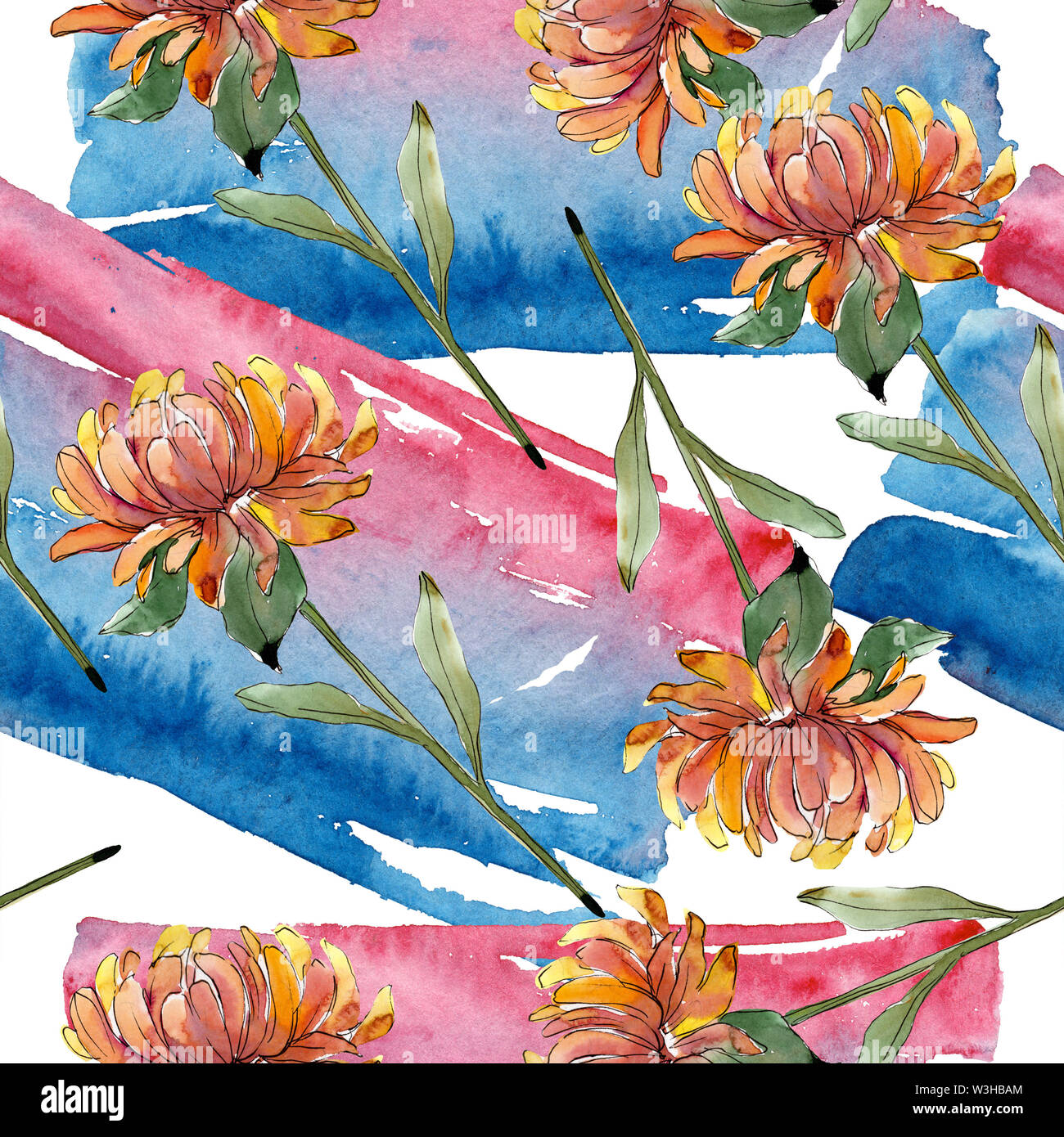 Aster floral botanical flowers. Watercolor background illustration set ...