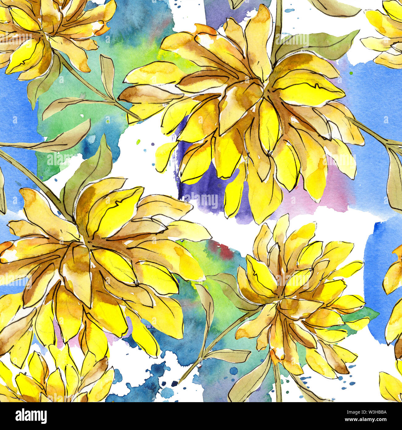 Aster floral botanical flowers. Watercolor background illustration set ...