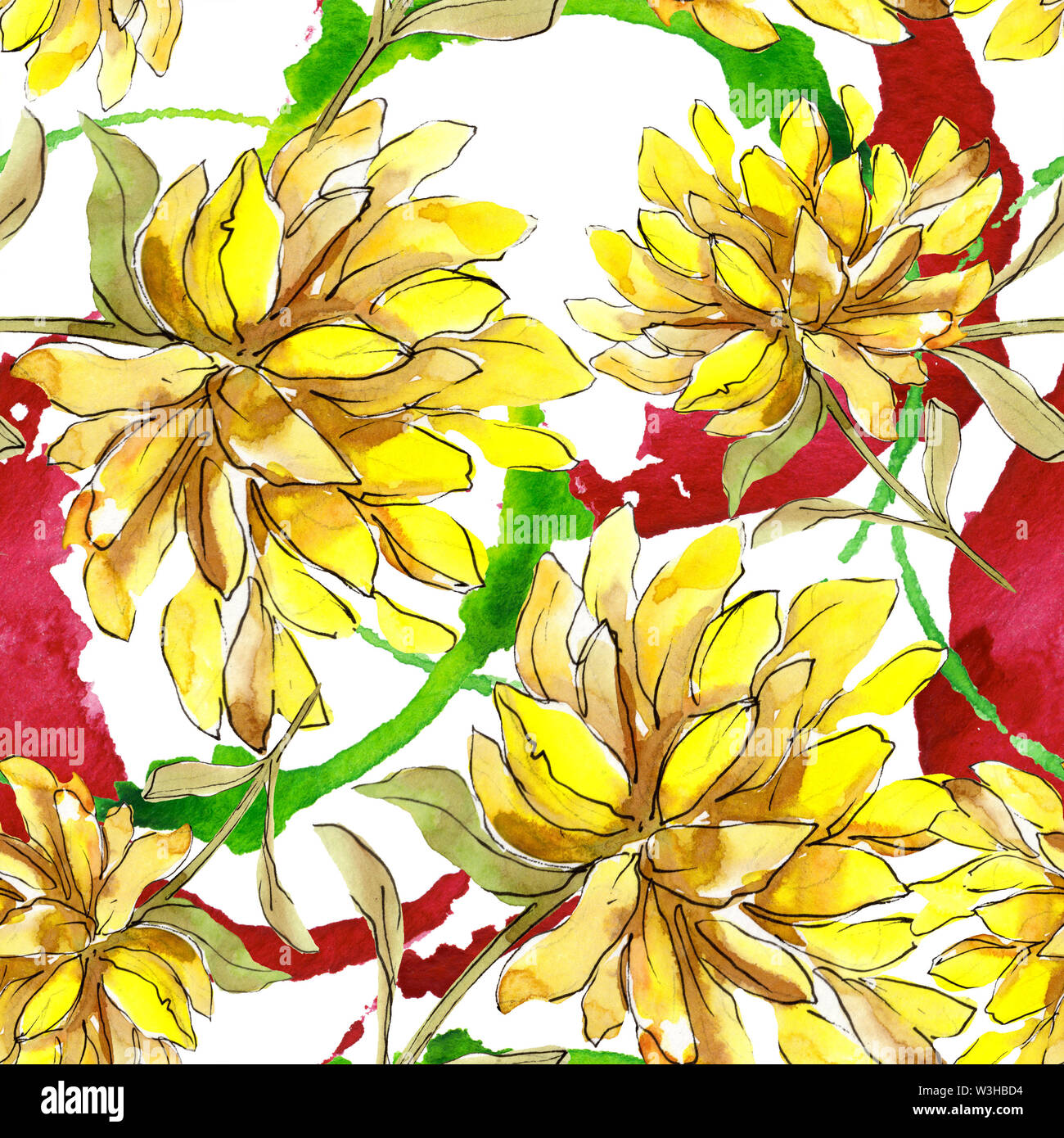 Aster floral botanical flowers. Watercolor background illustration set ...