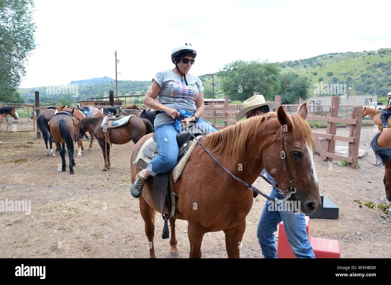 Class 65 DSC 0063 (18454075289 Stock Photo - Alamy