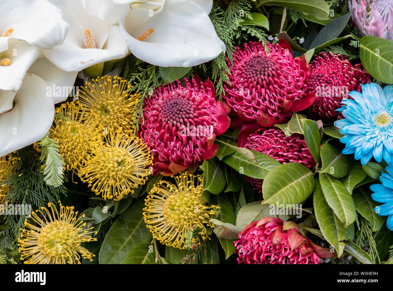 Beauty floristic decoration with colorful tropical flowers Stock Photo ...