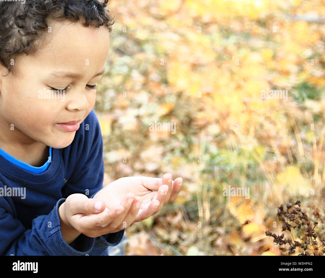 little boy praying to God and being religious stock image with hands ...