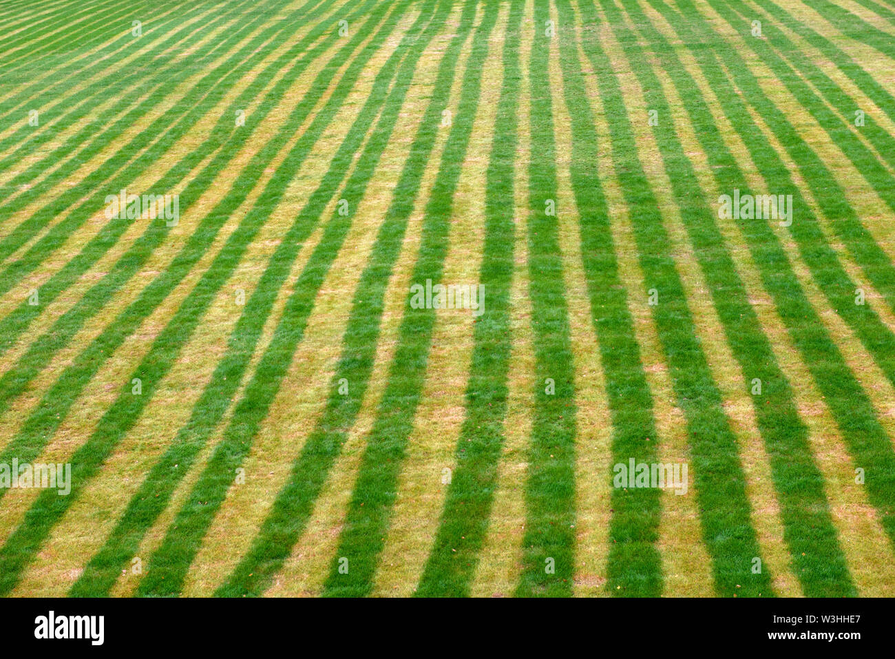 Striped green grass texture perspective hi-res stock photography and ...