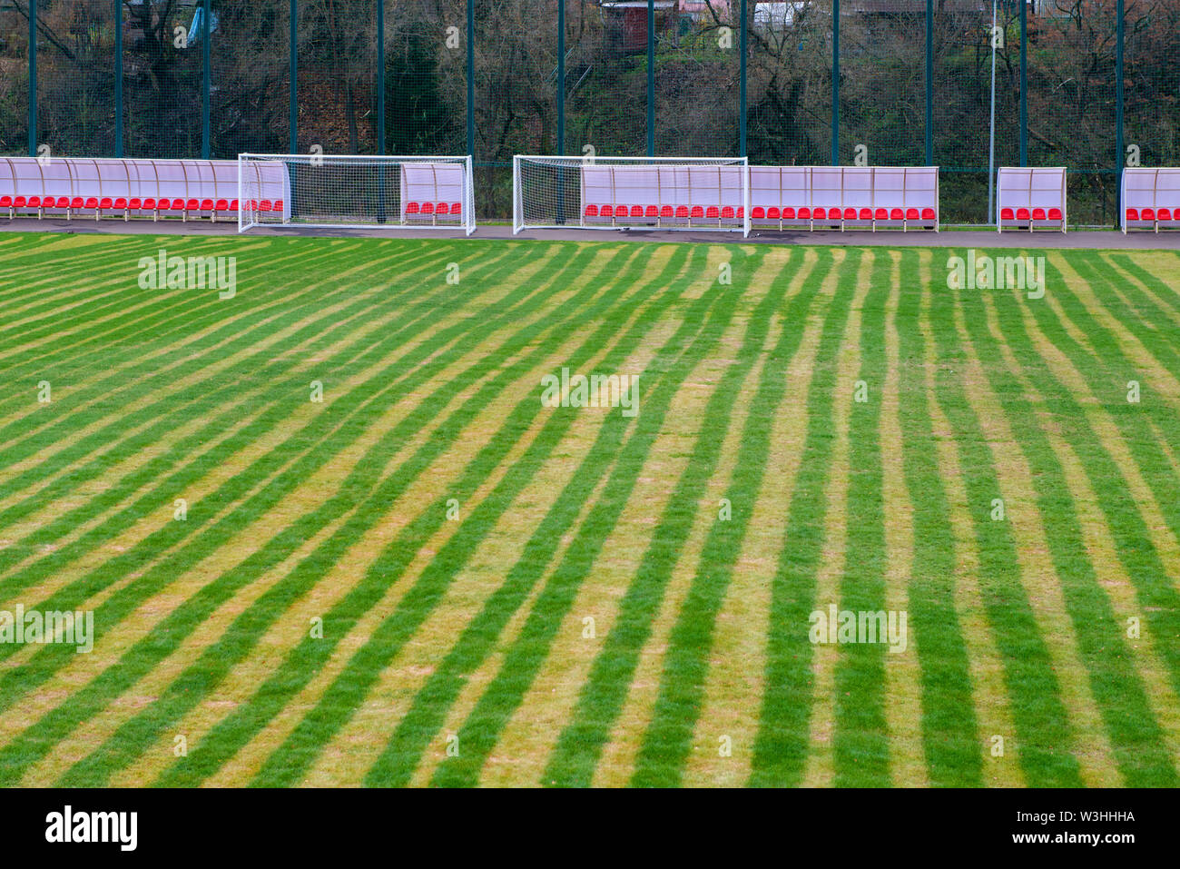 Striped green grass texture perspective hi-res stock photography and ...