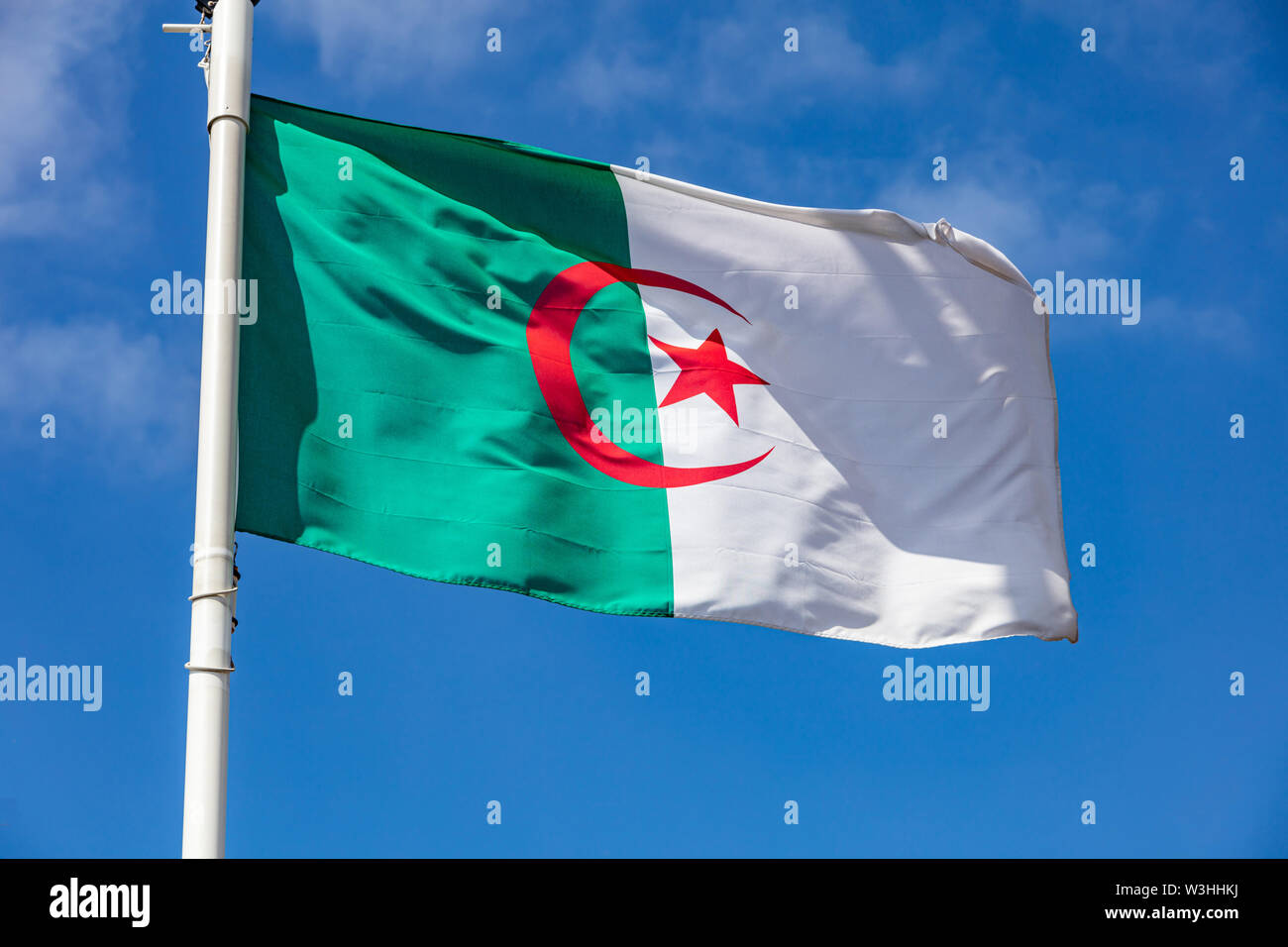 Algerian national flag hi-res stock photography and images - Alamy
