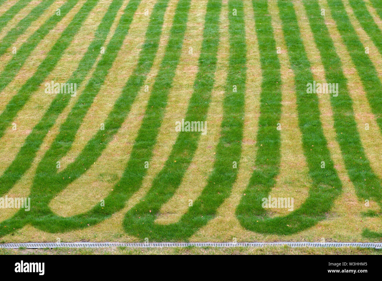 Striped green grass texture perspective hi-res stock photography and ...
