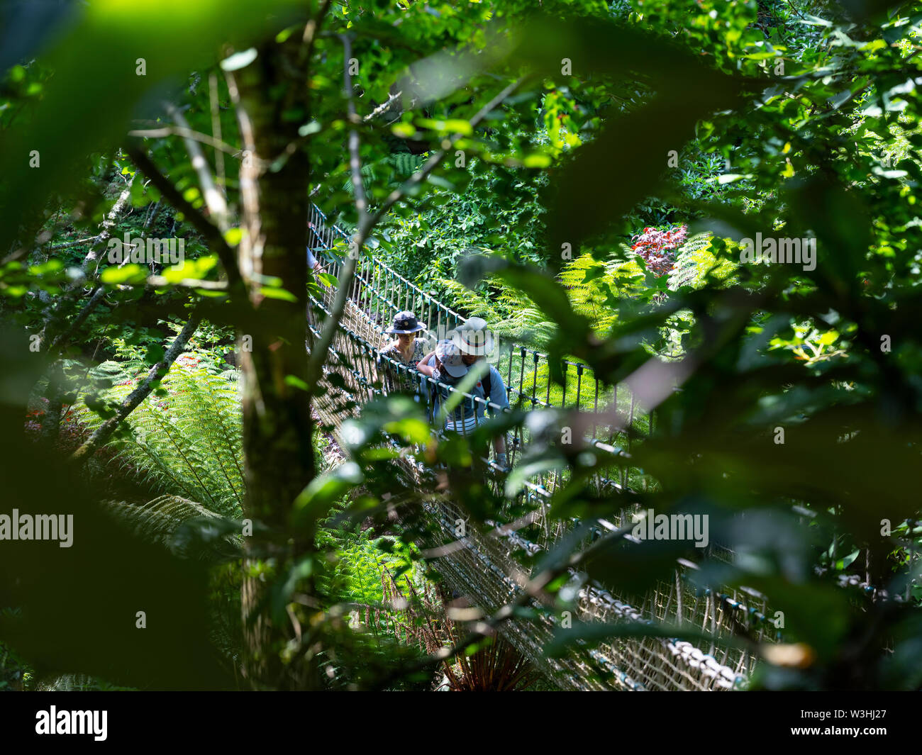 Burma Rope Bridge The Lost Gardens of Heligan Pentewan Cornwall Stock ...