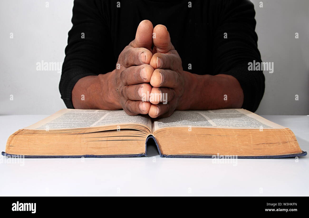 praying hands holding and reading the holy bible stock image and stock ...