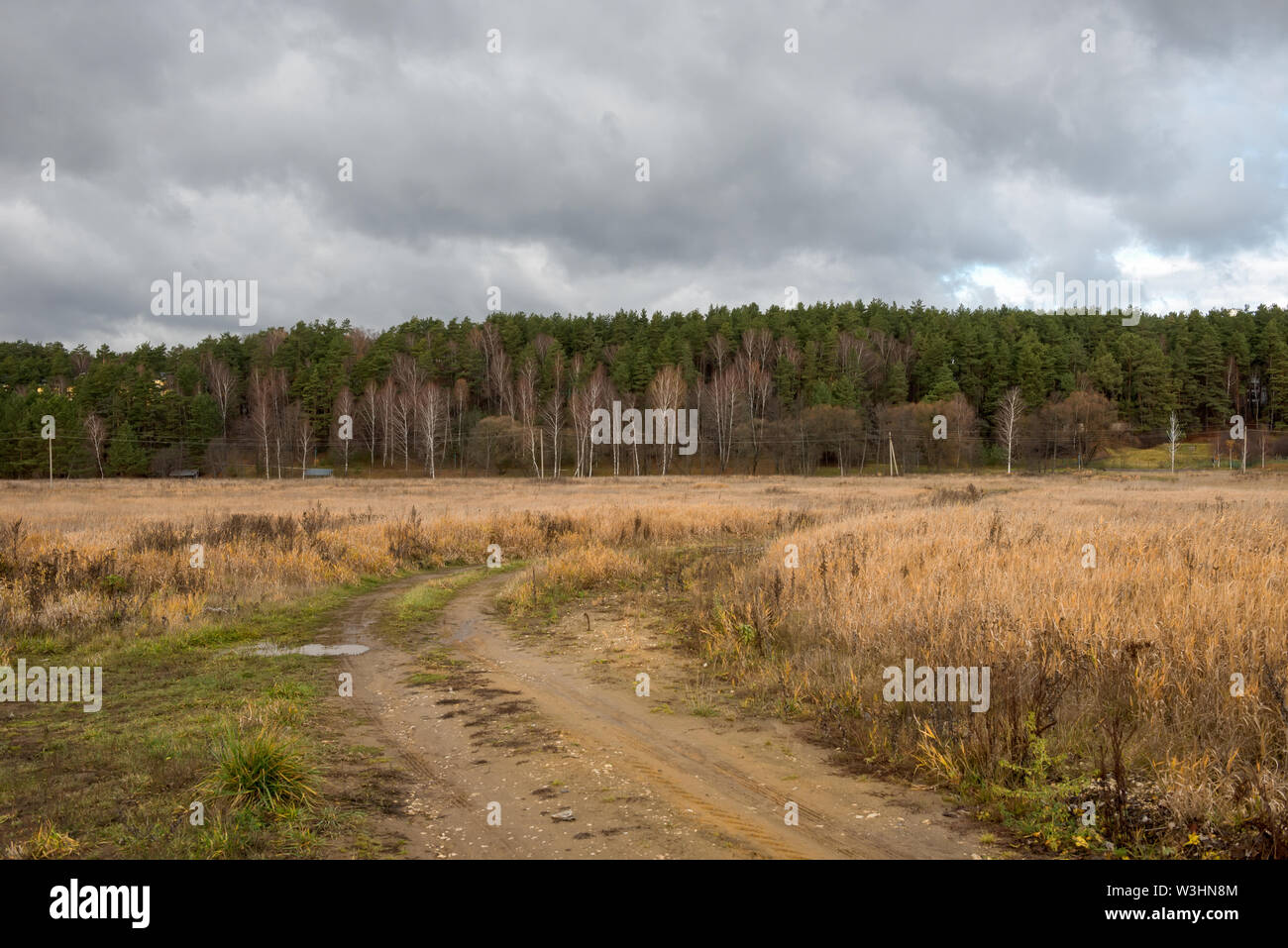 Country road rut with puddles through agricultural field Stock Photo ...