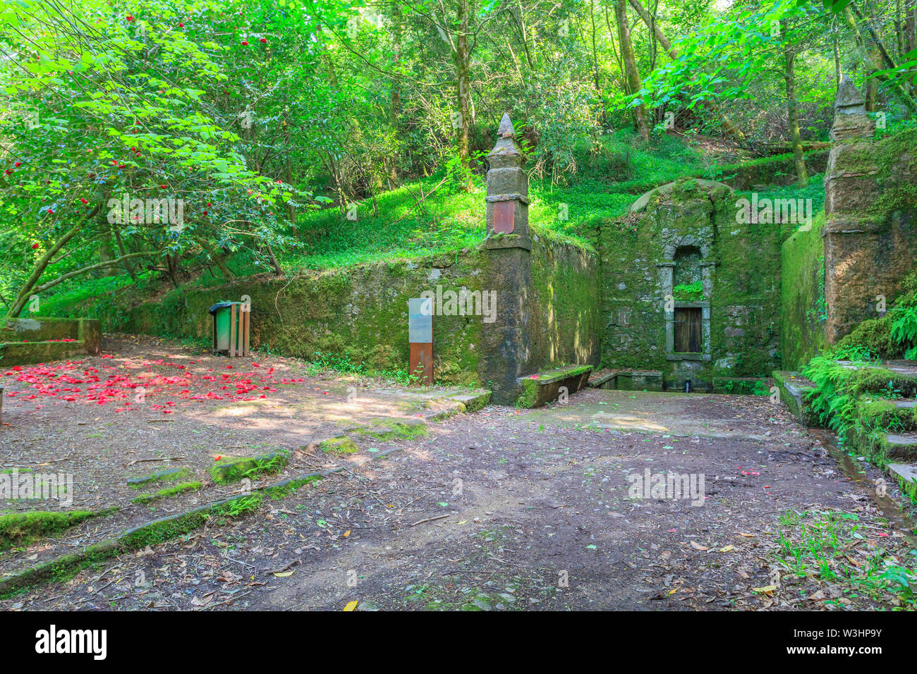 Mata do bussaco hi-res stock photography and images - Alamy