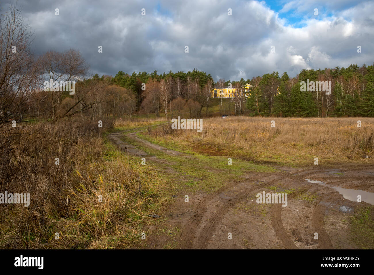 Country road rut with puddles through agricultural field Stock Photo ...