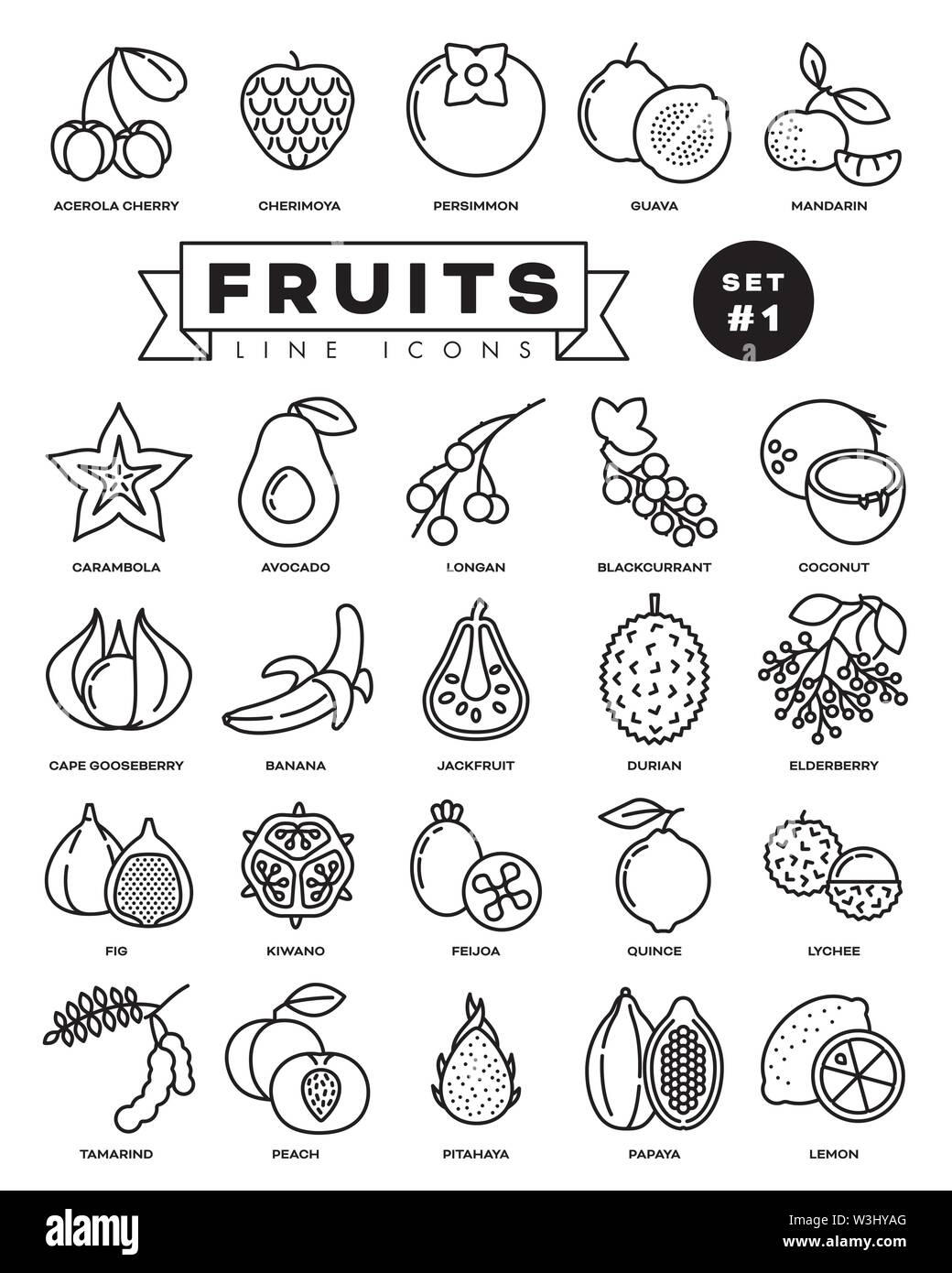 Collection of fruit vector outline icons. Illustration of healthy food ...